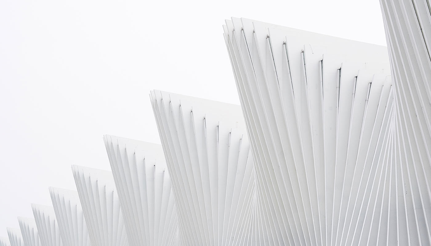 Turtle Neck – Alma Âmbar